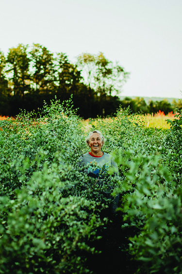 ASCFG Events - Making a Profit Selling Cut Flowers | Association of ...